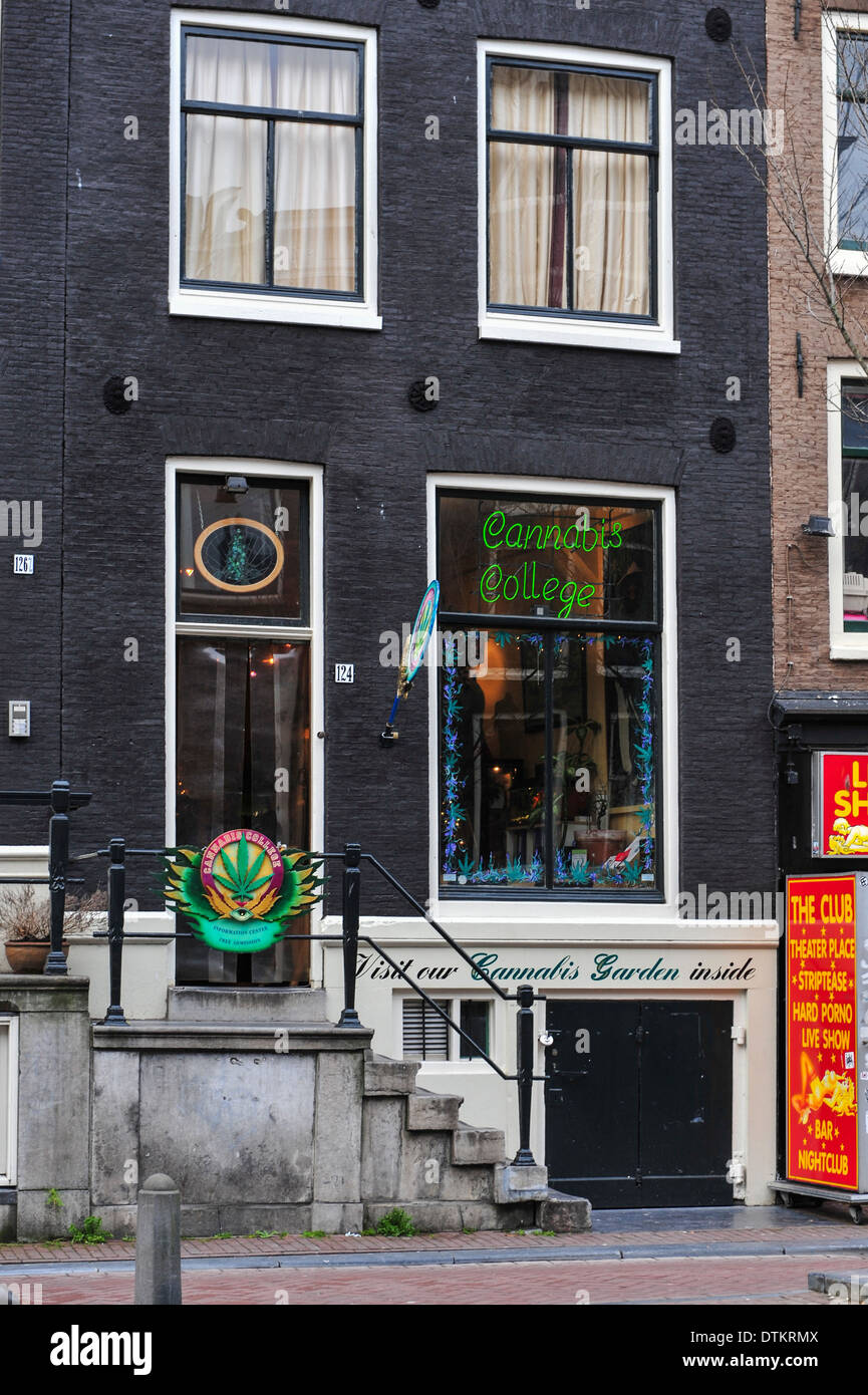 Cannabis Cafe in Amsterdam, Holland Stock Photo - Alamy