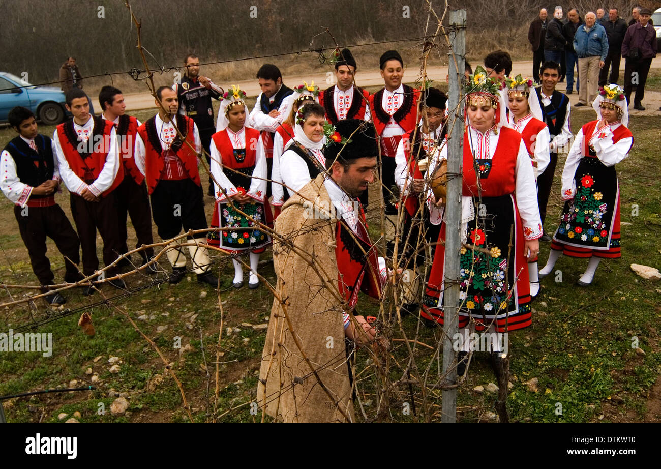 Bulgaria 14th February 2014; Sveti Trifun at an Italian winery in ...