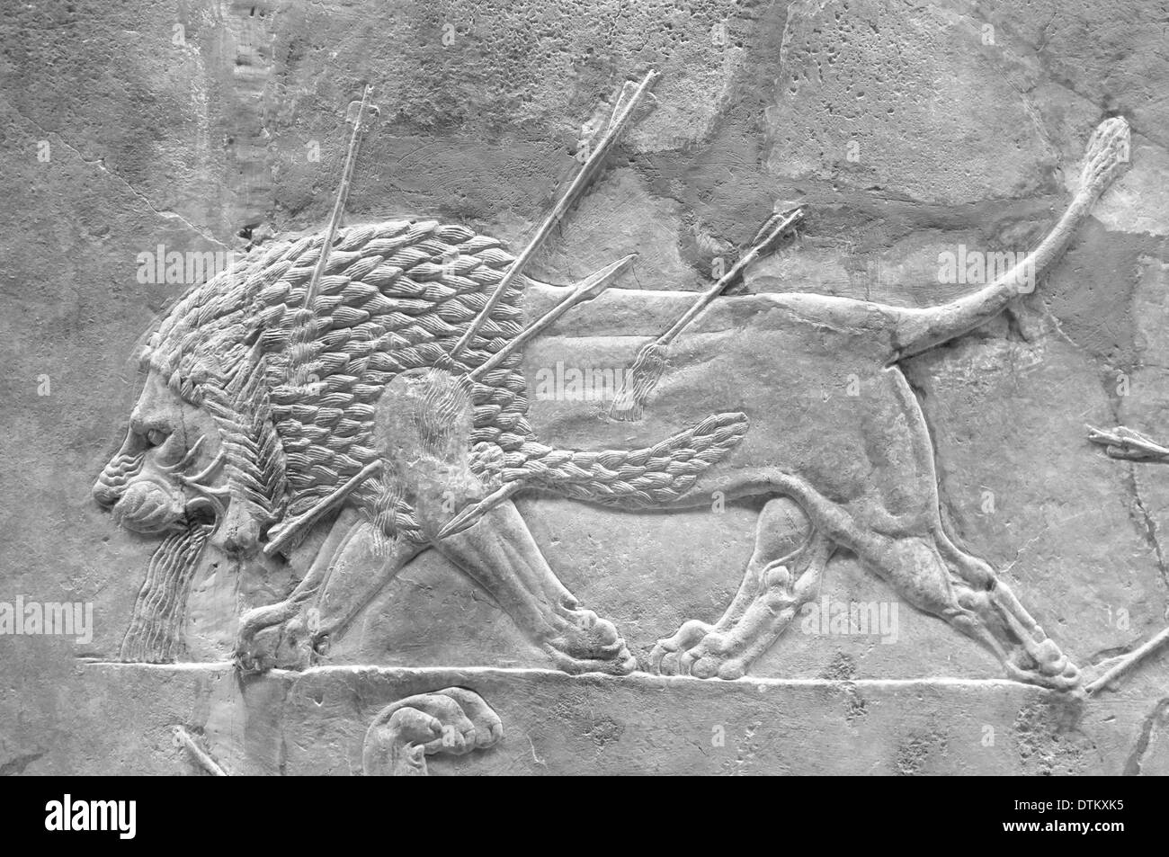 Assyrian Lion Hunt Relief Wall Art at the British Museum, London ...