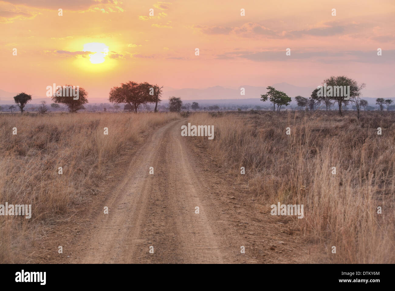 African bushveld grass landscape hi-res stock photography and images ...