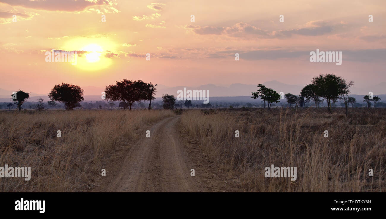 African bushveld grass landscape hi-res stock photography and images ...