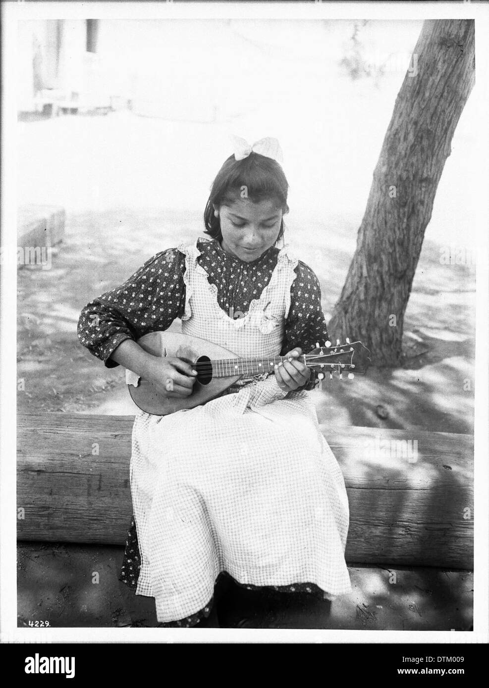 Playing the mandolin hi-res stock photography and images - Alamy
