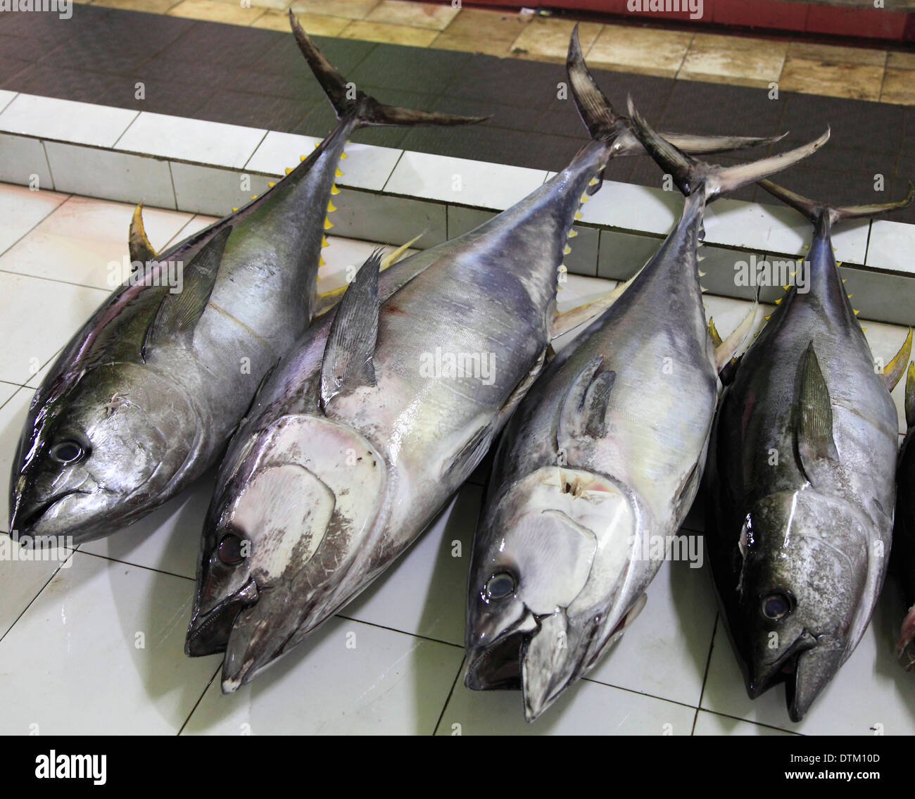 Maldives Food High Resolution Stock Photography and Images - Alamy