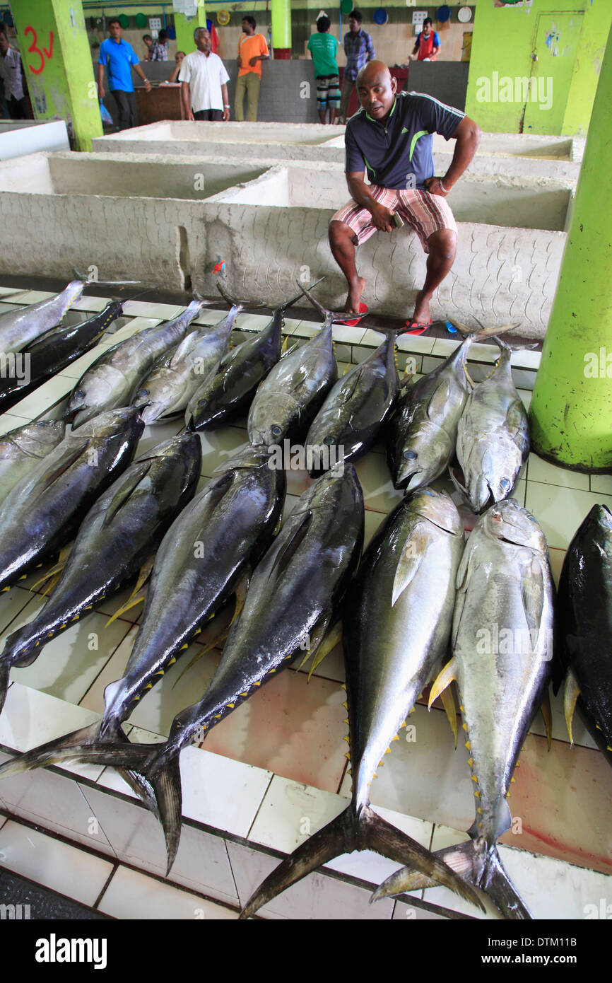 Maldives, Male, fish market, tuna Stock Photo - Alamy