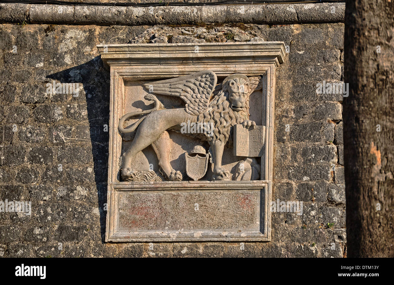 Venetian lion symbol in Kotor, Montenegro Stock Photo - Alamy