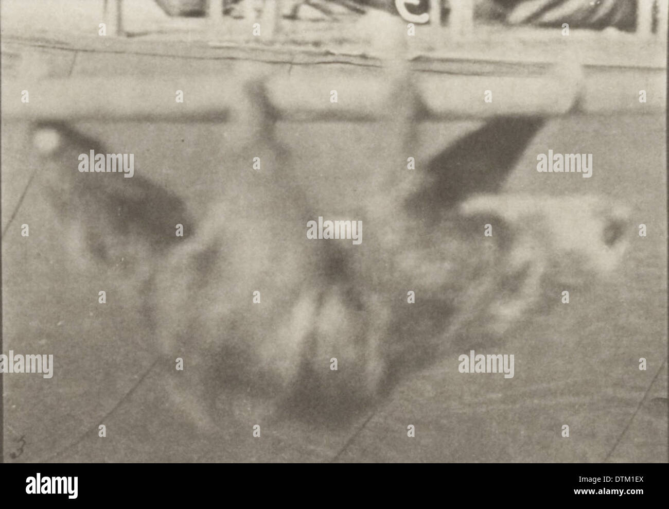 A sloth is shown walking suspended on a horizontal pole, demonstrating ...