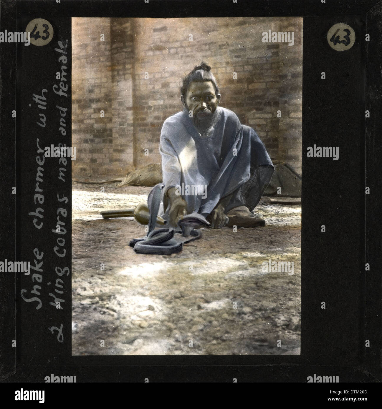 A photograph of a snake charmer with two king cobras, taken in Jammu ...