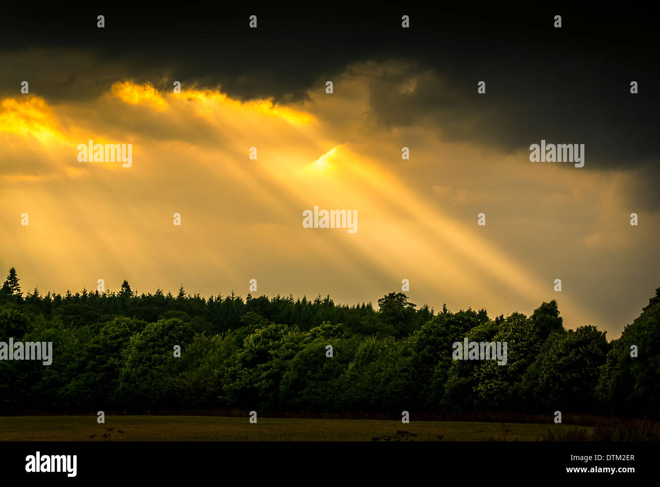 Sunlight and storm hi-res stock photography and images - Alamy