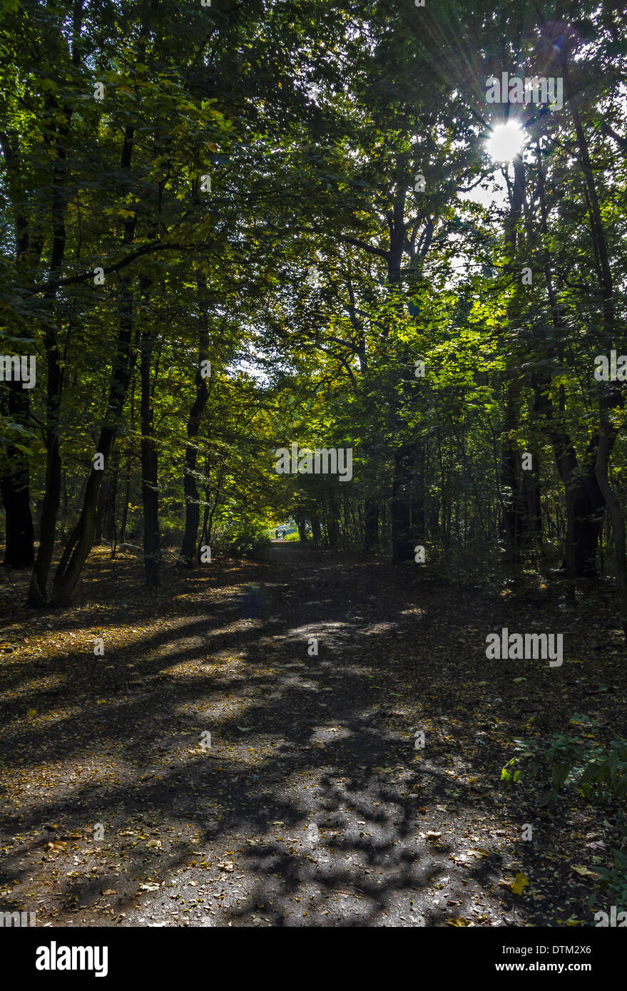 Sandweg hi-res stock photography and images - Alamy