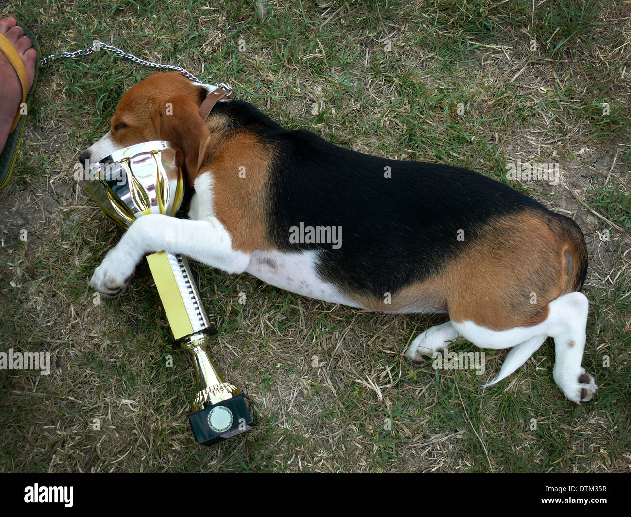 Heroes presentation hi-res stock photography and images - Alamy