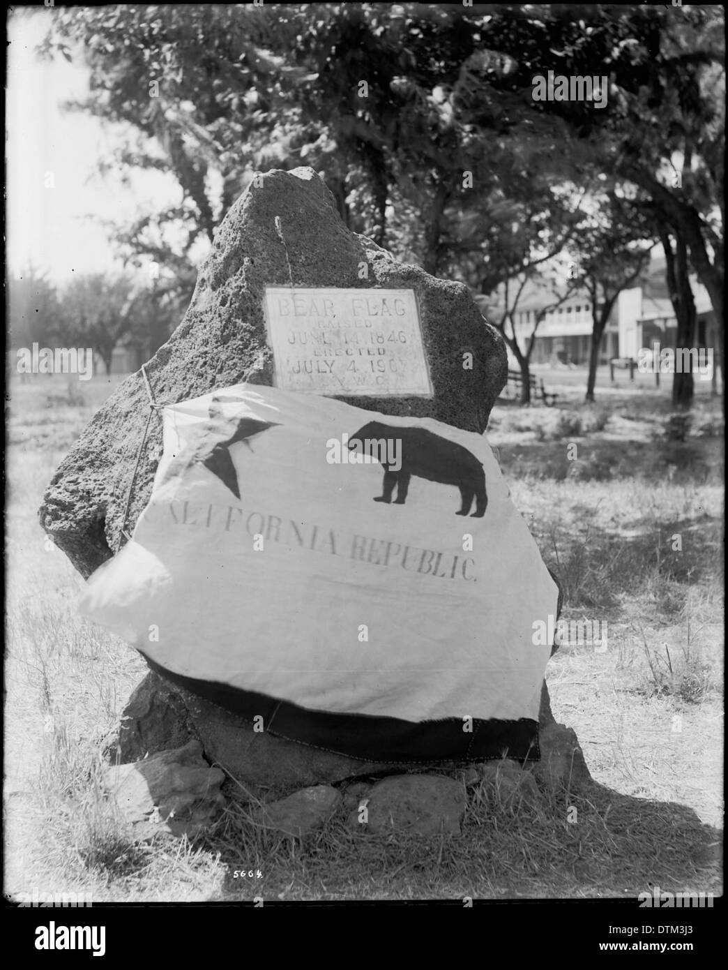 The Bear Flag, symbol of the Bear Flag Revolt, draped around the Bear ...