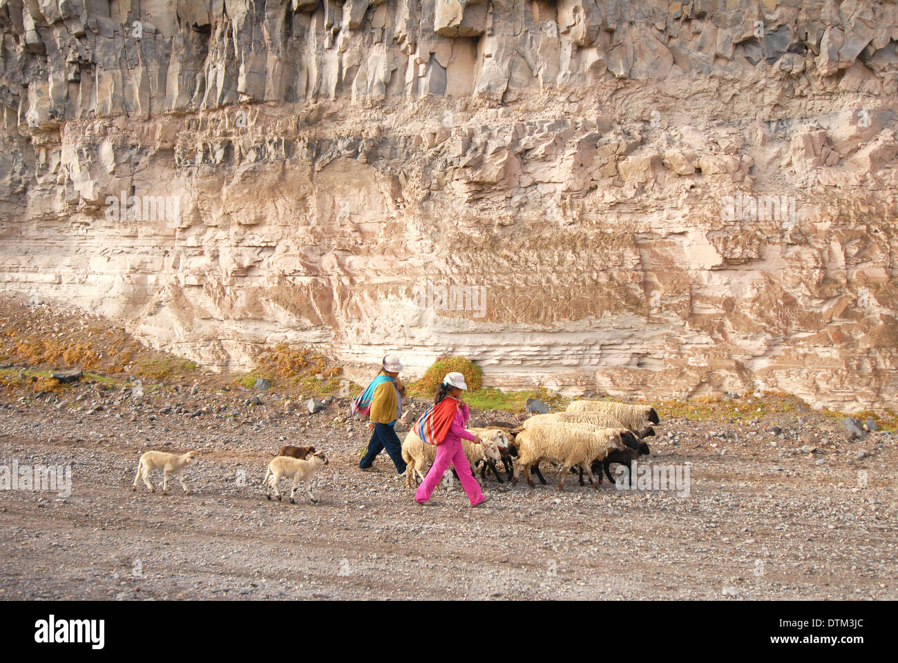 Peruvian shepherd hi-res stock photography and images - Alamy