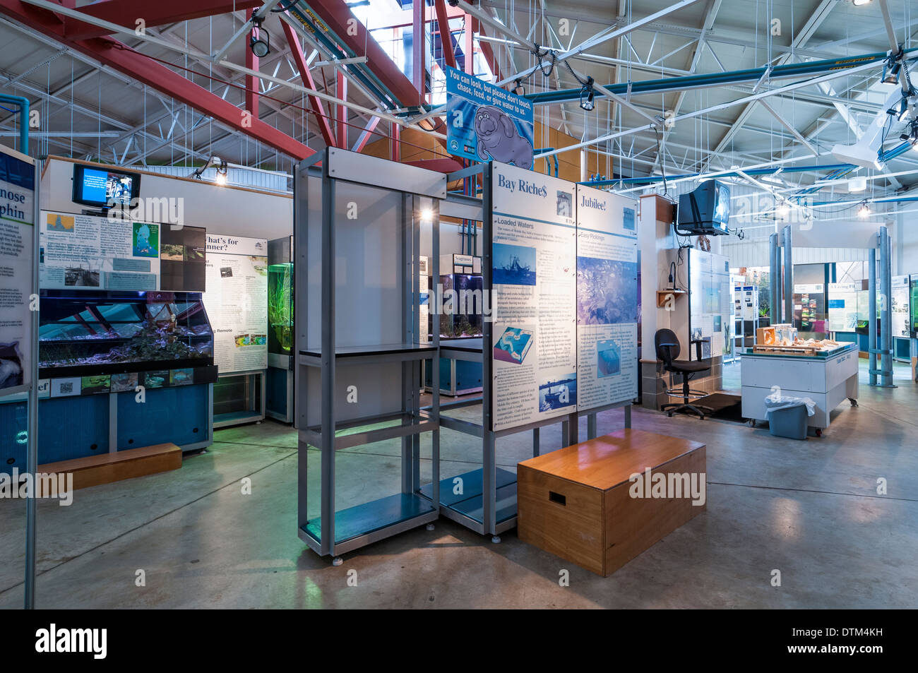 Inside the Estuarium, Dauphin Island, Alabama Stock Photo - Alamy