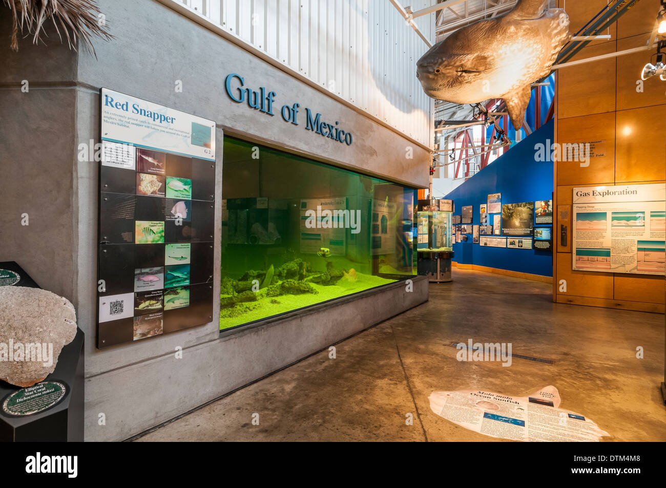 Estuarium at the dauphin island sea lab hi-res stock photography and ...