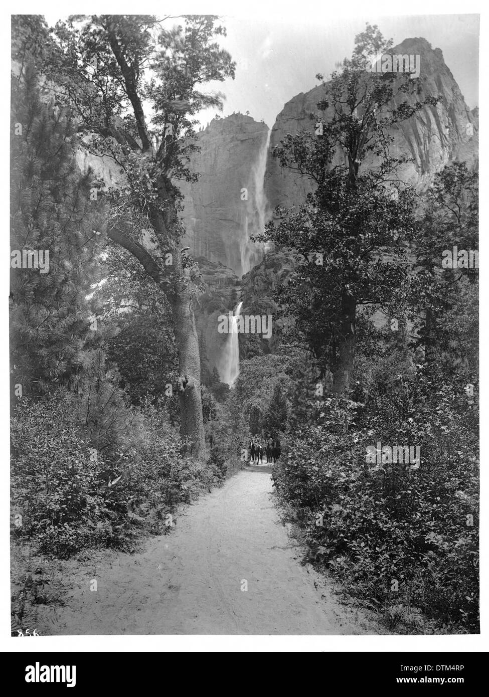 Yosemite national park history Black and White Stock Photos & Images ...