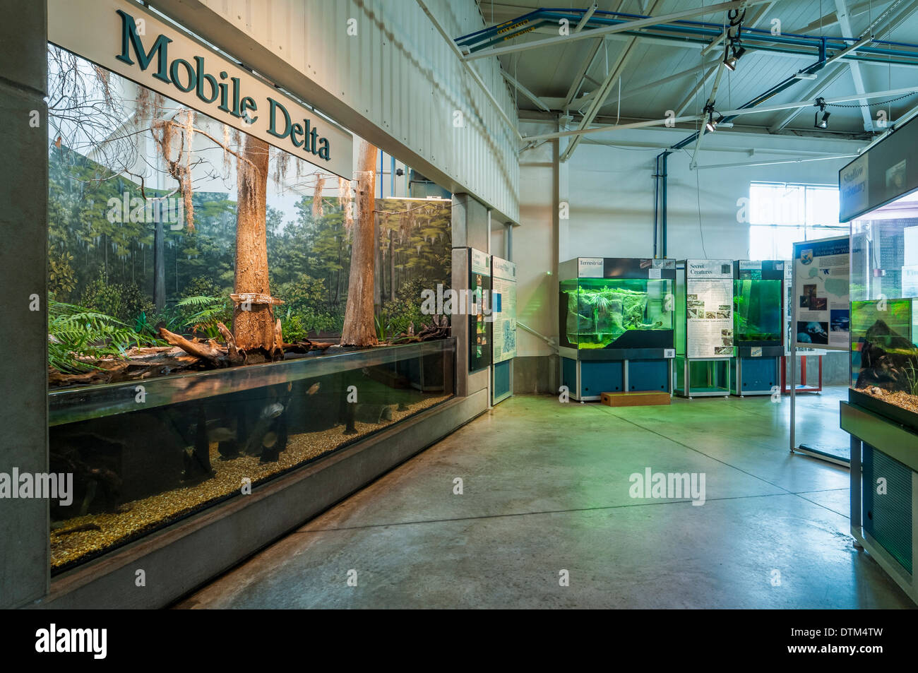 Inside the Estuarium, Dauphin Island, Alabama Stock Photo - Alamy