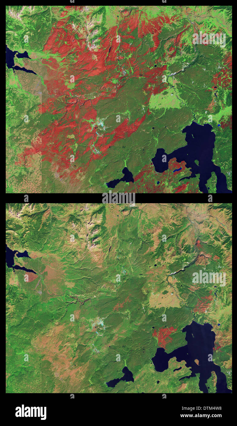 Yellowstone fire 1988 hi-res stock photography and images - Alamy