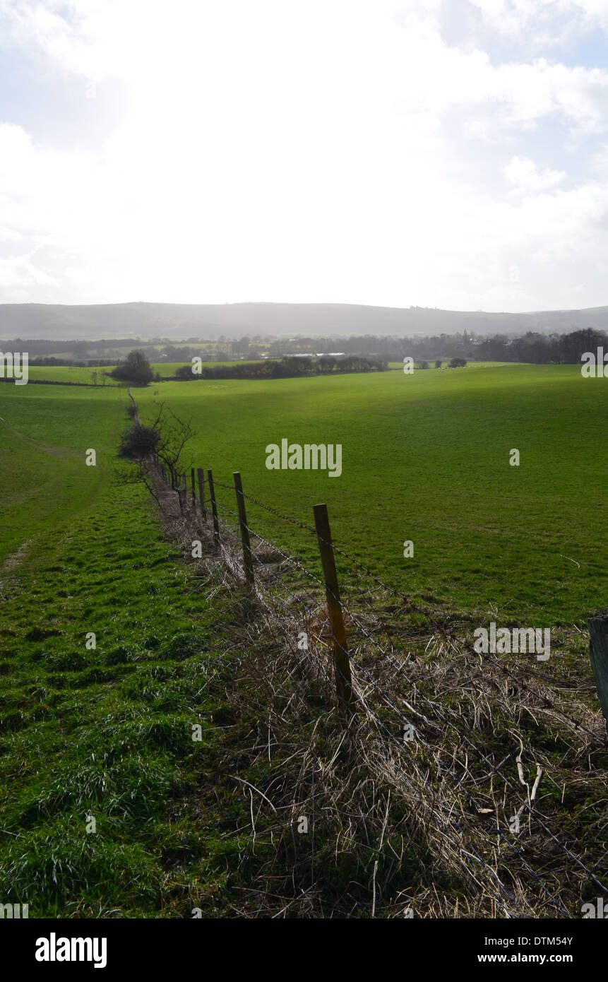 Running barbed wire fence hi-res stock photography and images - Alamy
