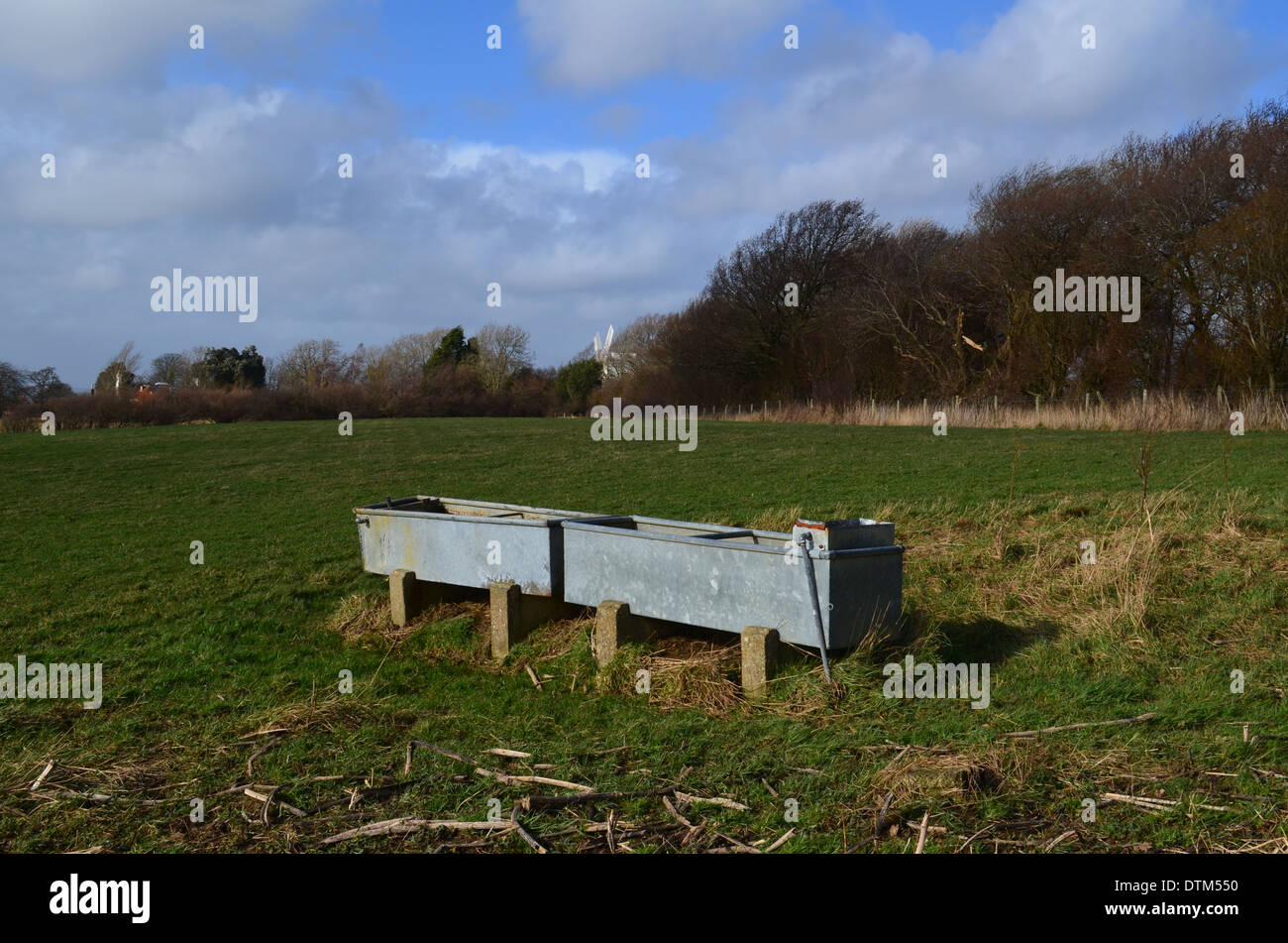 Livestock water trough in farmers field Stock Photo - Alamy