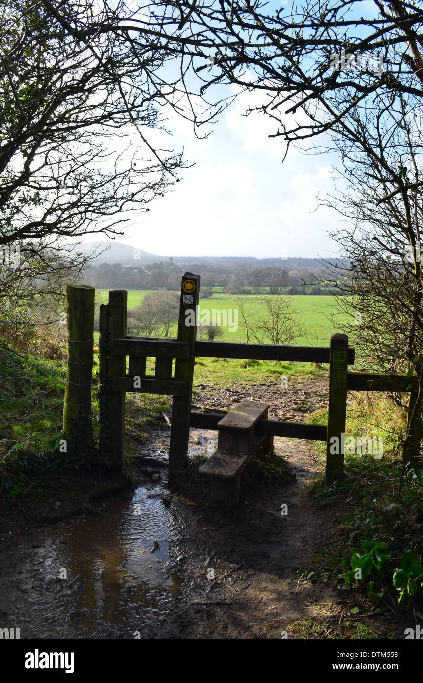 Uk pasture hi-res stock photography and images - Alamy