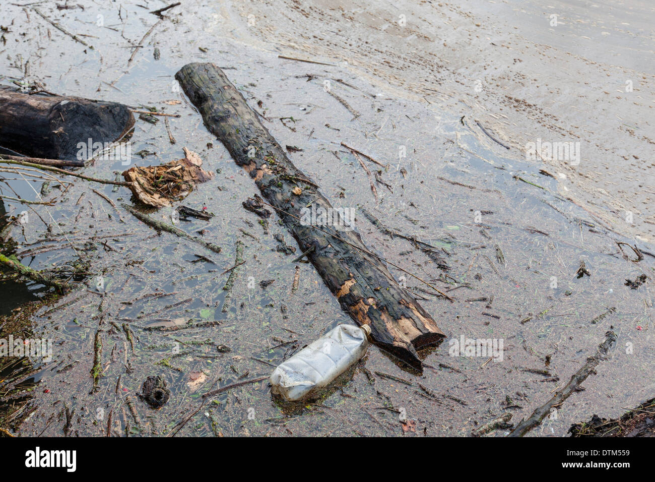 Floating wooden debris water hi-res stock photography and images - Alamy