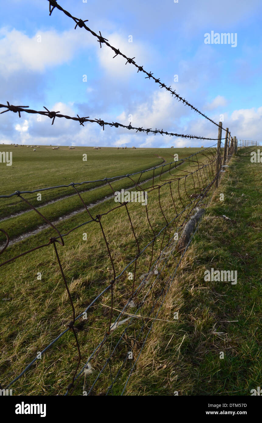 Barbed wire fence running through open pasture land in the uk Stock ...