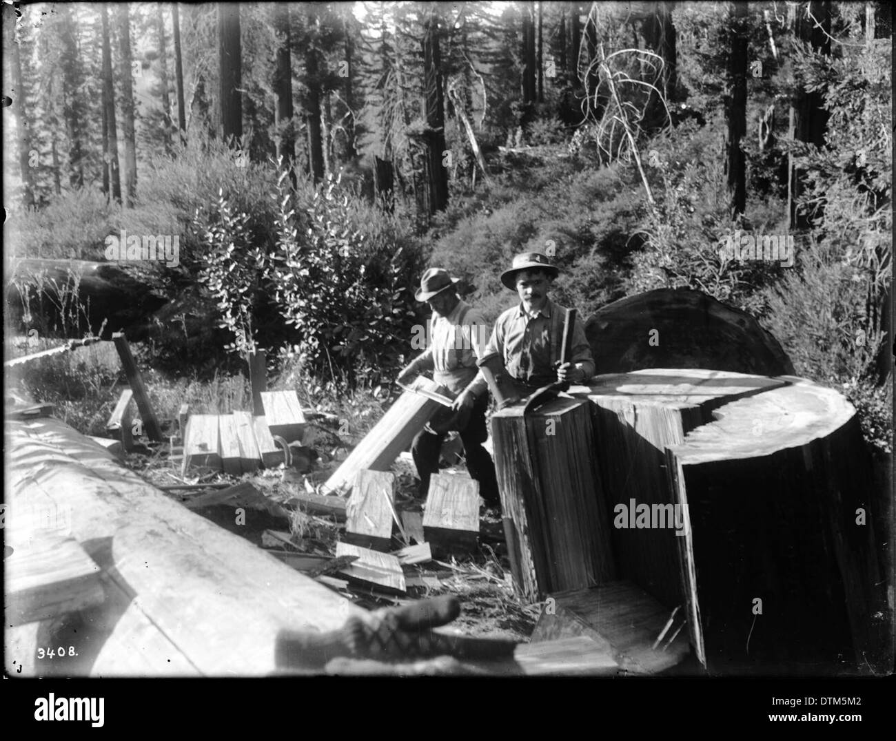 Two men splitting out shakes from cedar logs to be used as shingles, ca ...