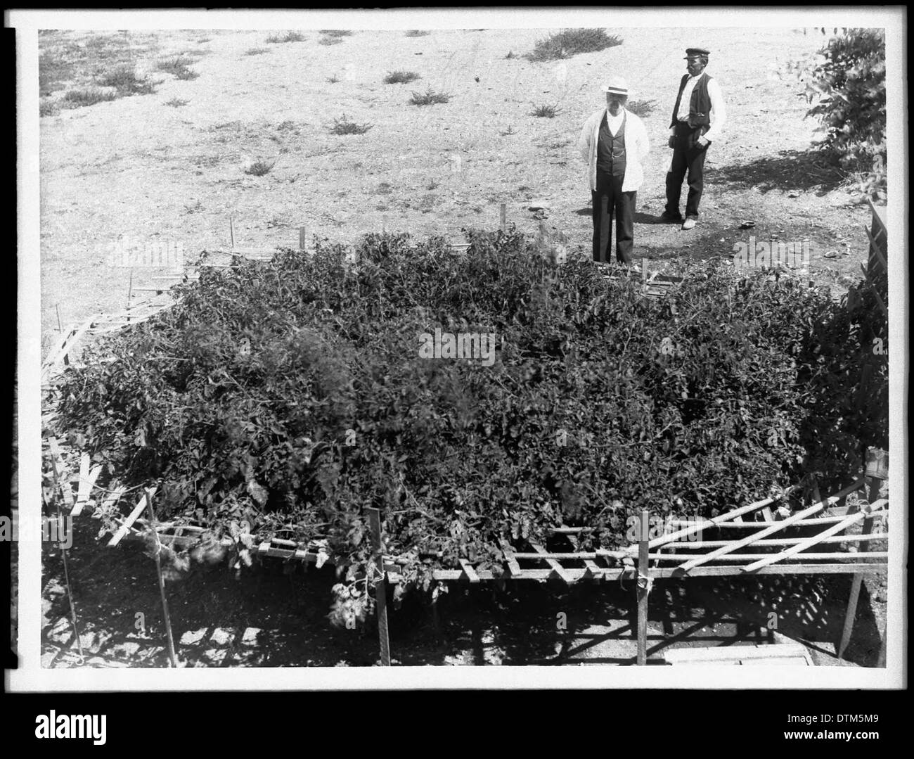 Two men beside large hi-res stock photography and images - Alamy