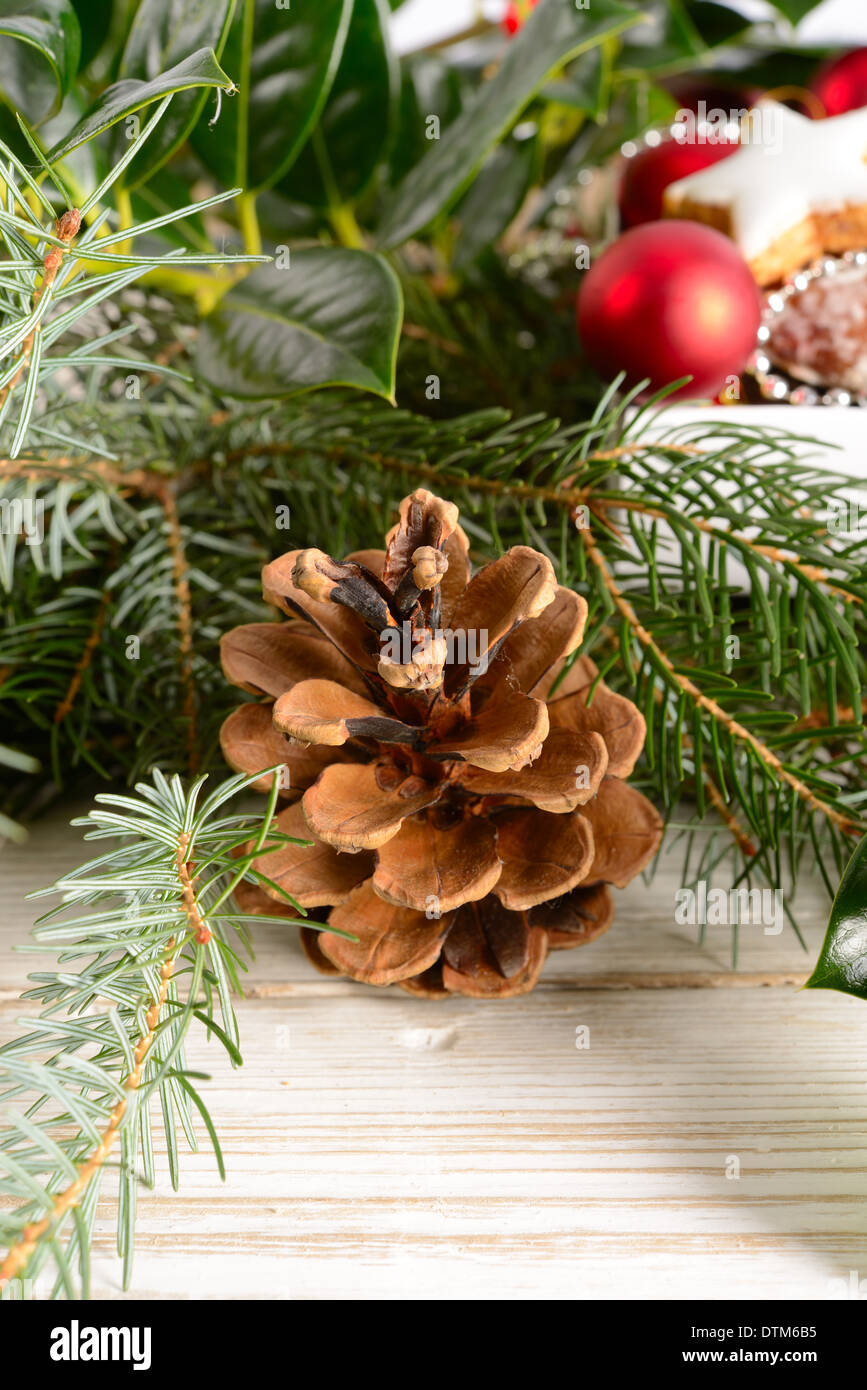 Conifer cone illustration vector hi-res stock photography and images ...