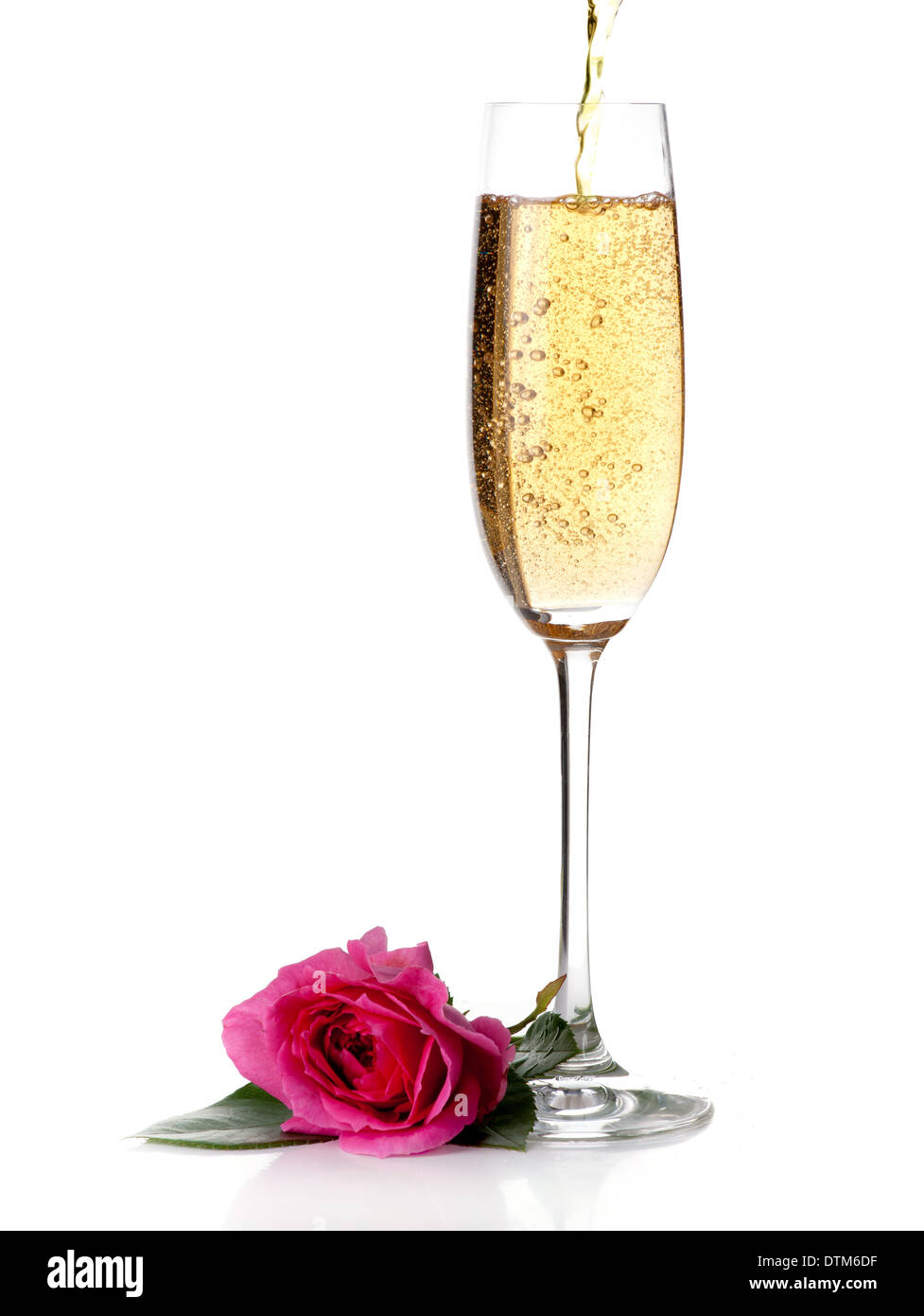 rose and champagne wine isolated on white Stock Photo - Alamy