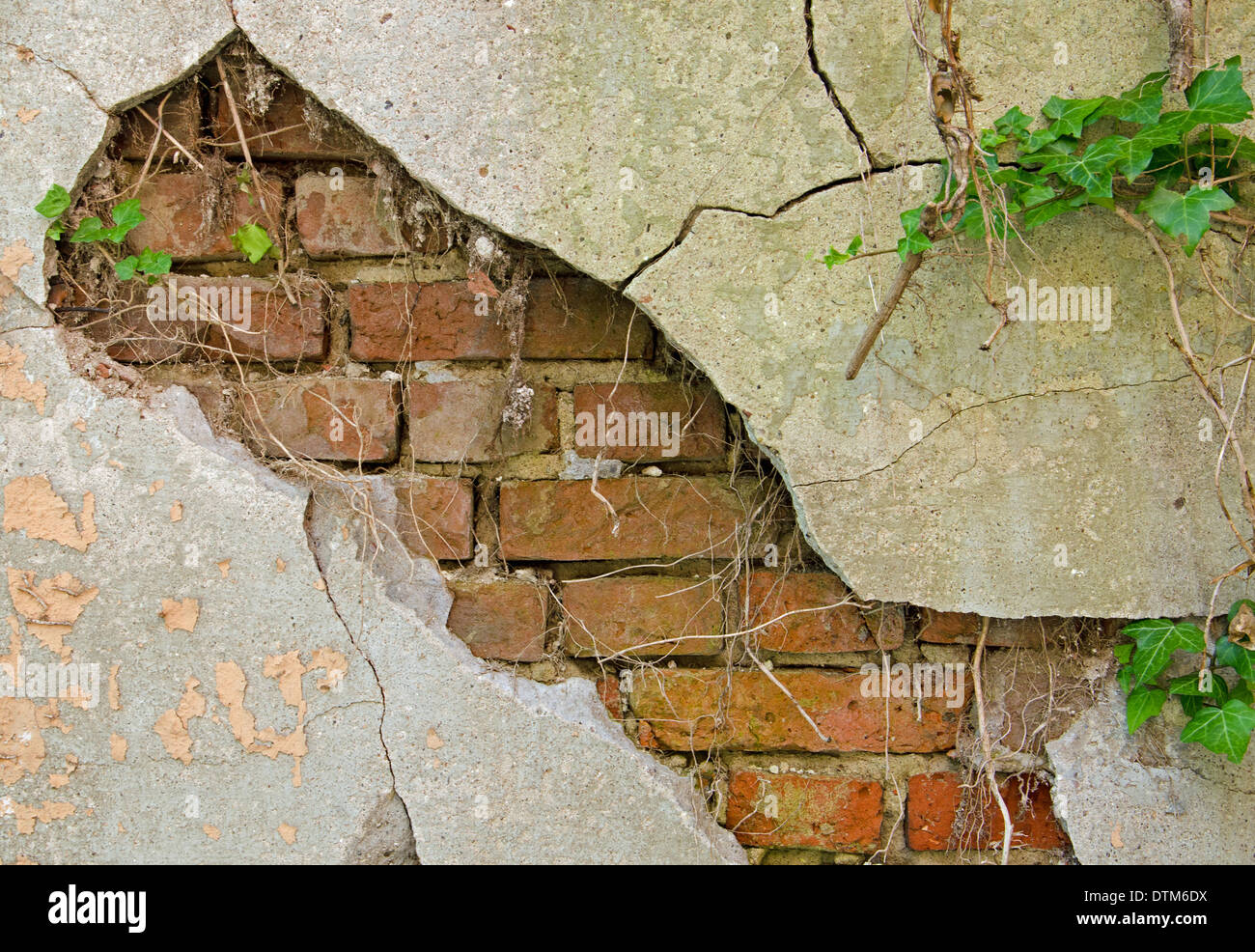 Riss hi-res stock photography and images - Alamy