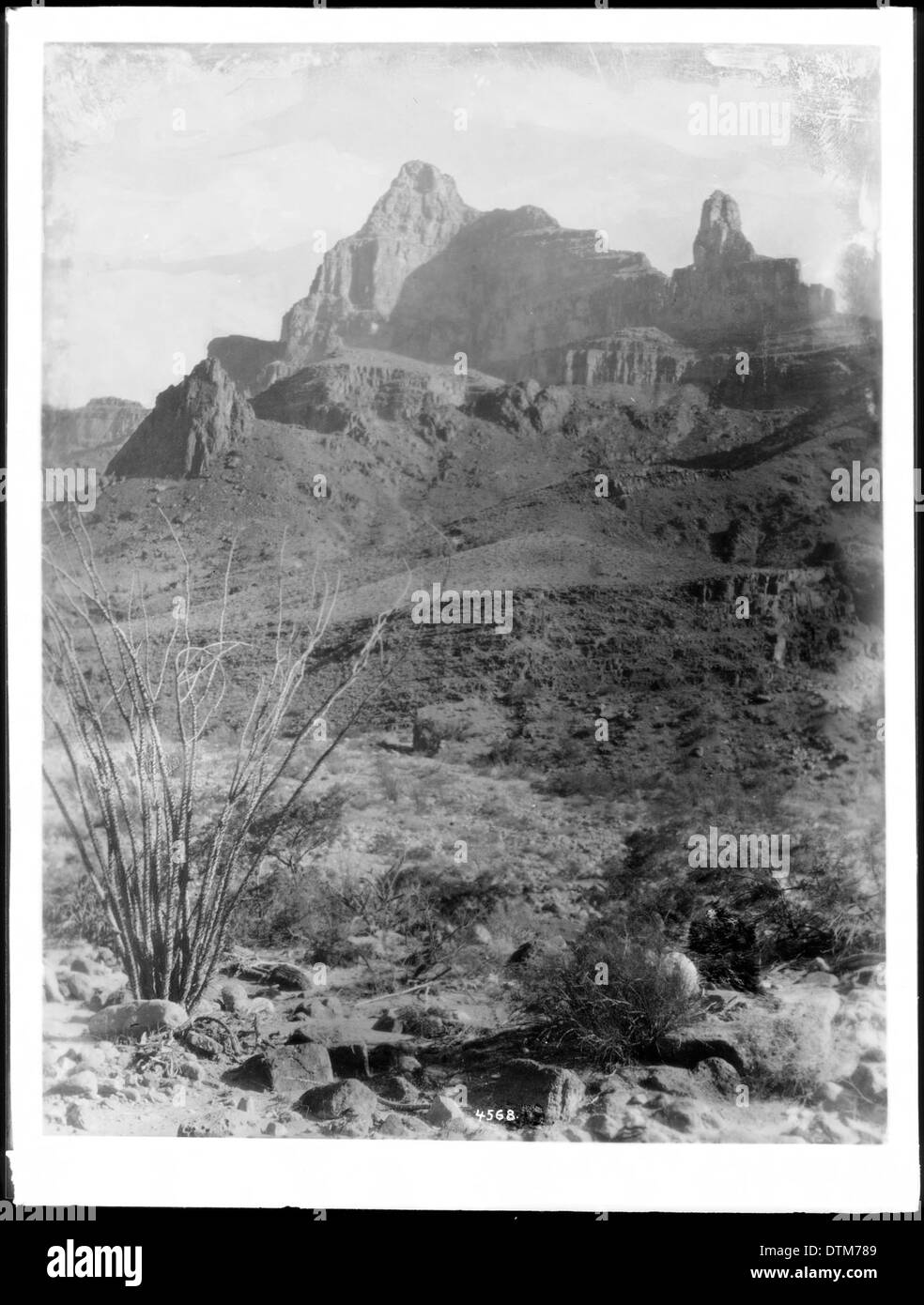Grand Canyon Of Arizona 1900 High Resolution Stock Photography and ...