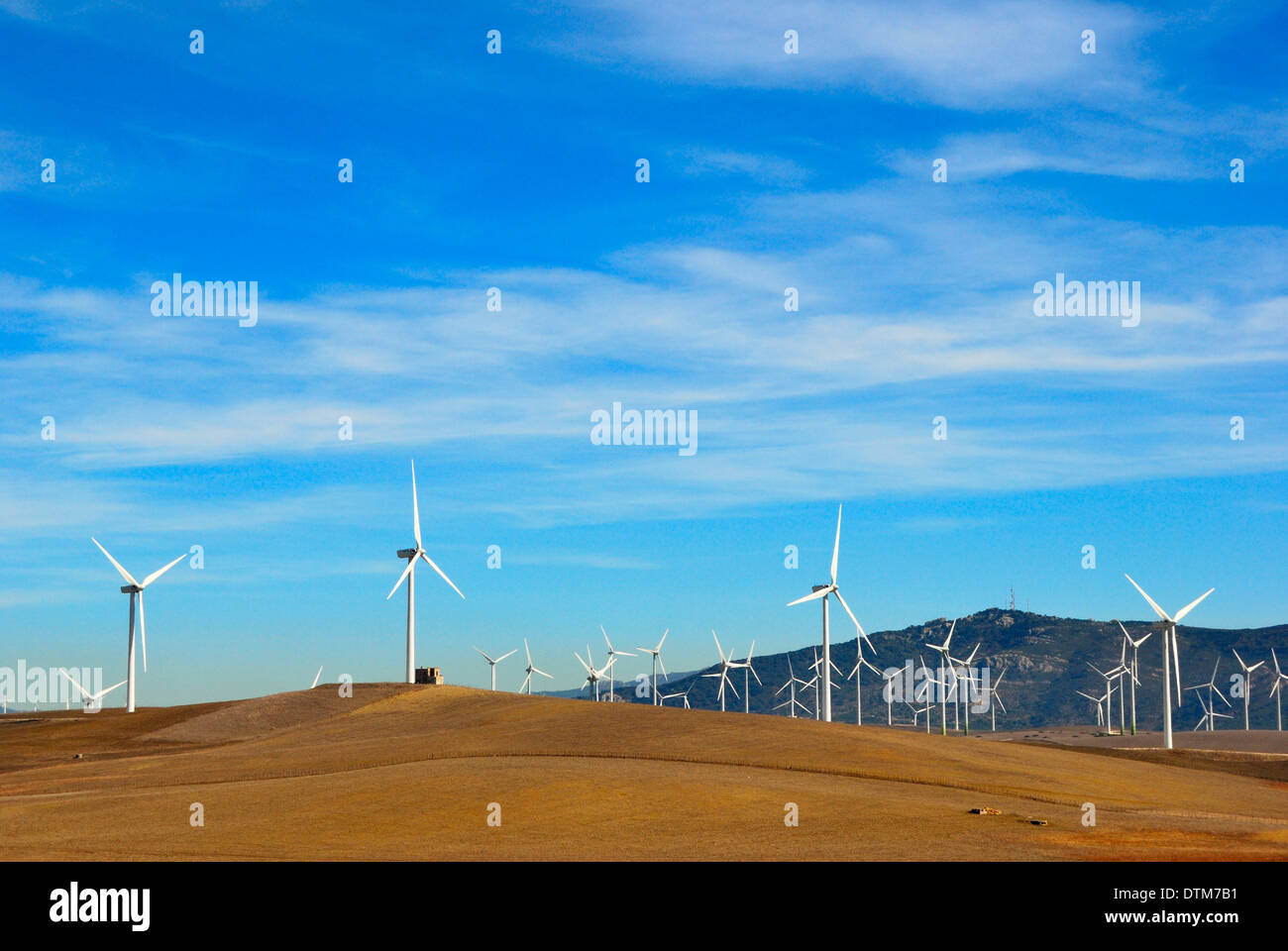 Wind turbines in the countryside of Cadiz, Andalusia, Spain Stock Photo ...