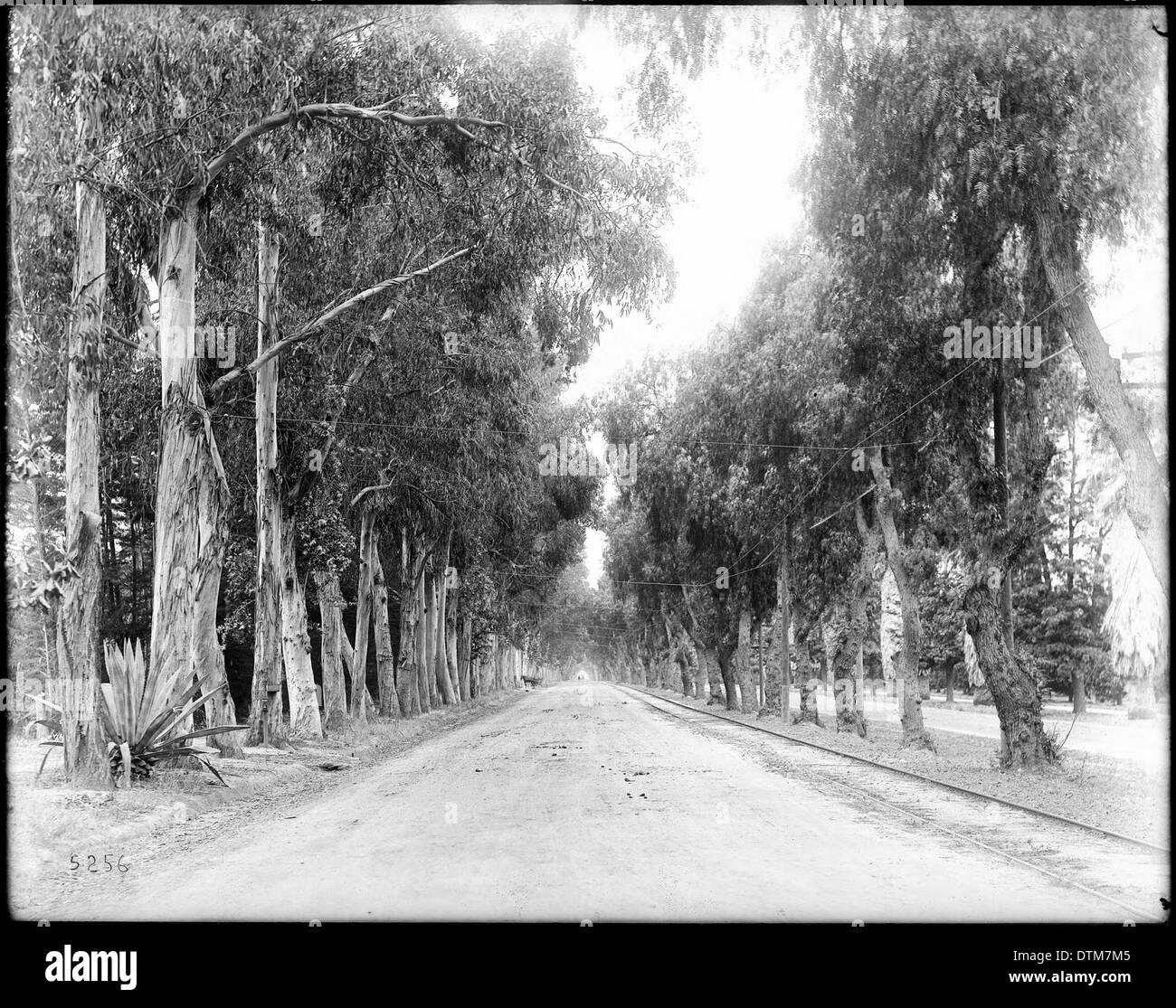 Riverside ca hi-res stock photography and images - Alamy