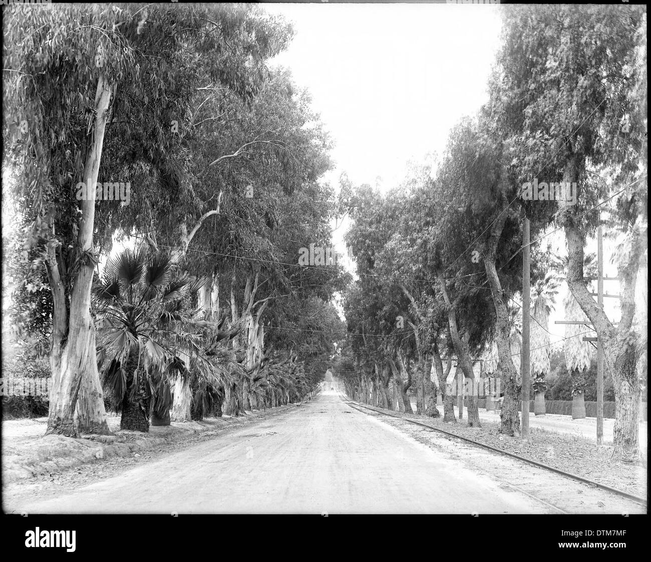 Magnolia avenue hi-res stock photography and images - Alamy