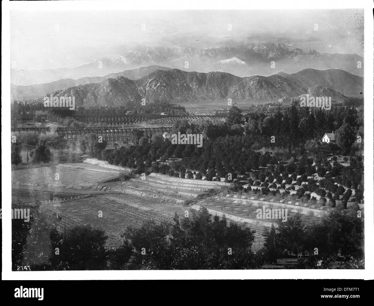 Rural orchards Black and White Stock Photos & Images - Alamy