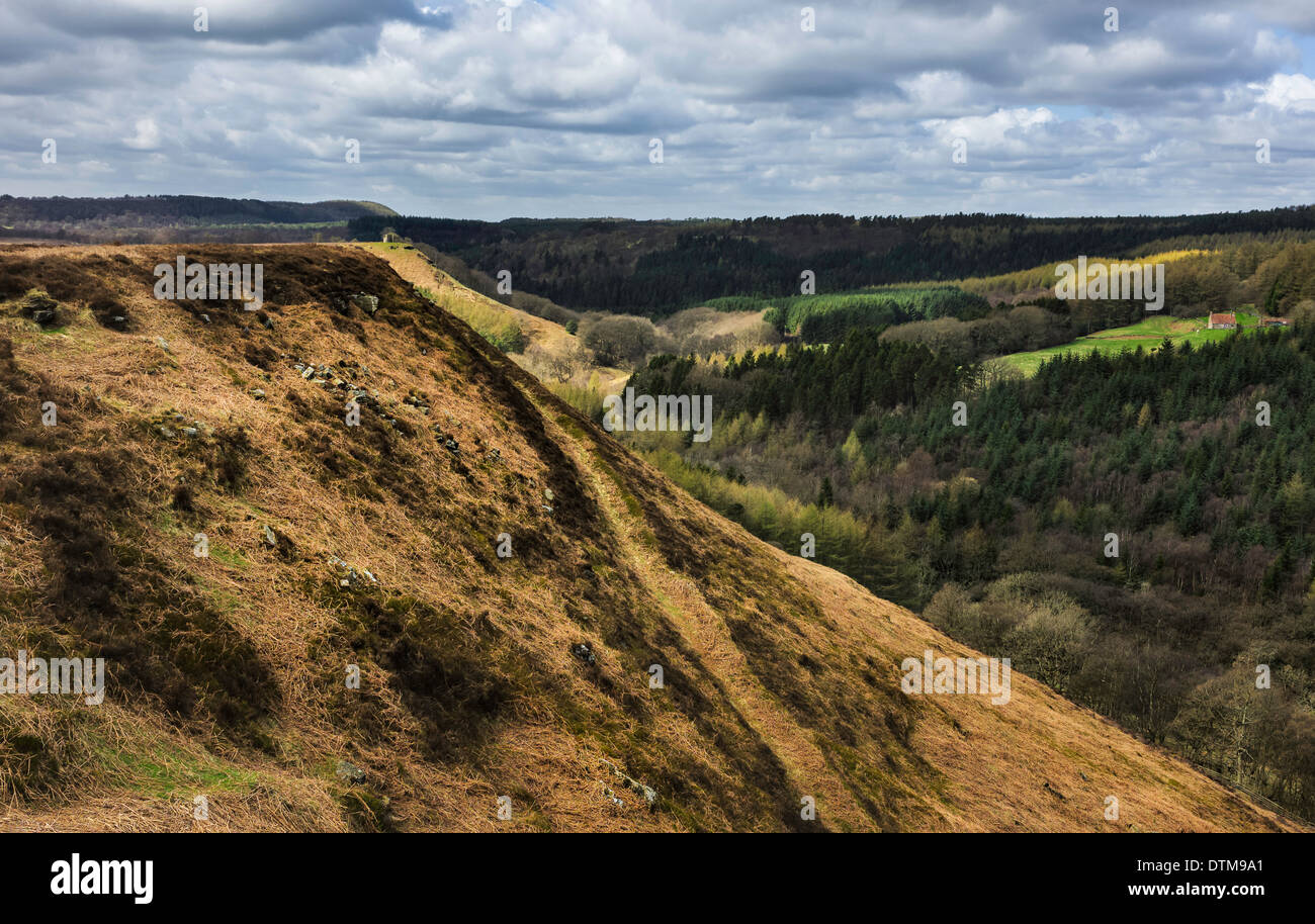 The undulating landscape of the North York Moors National Park on a ...