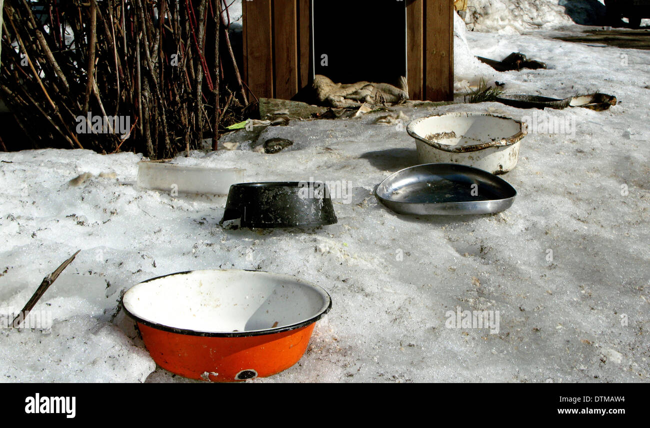 image of the empty dog`s bowls, no food, outdoor shot, kennel in the ...