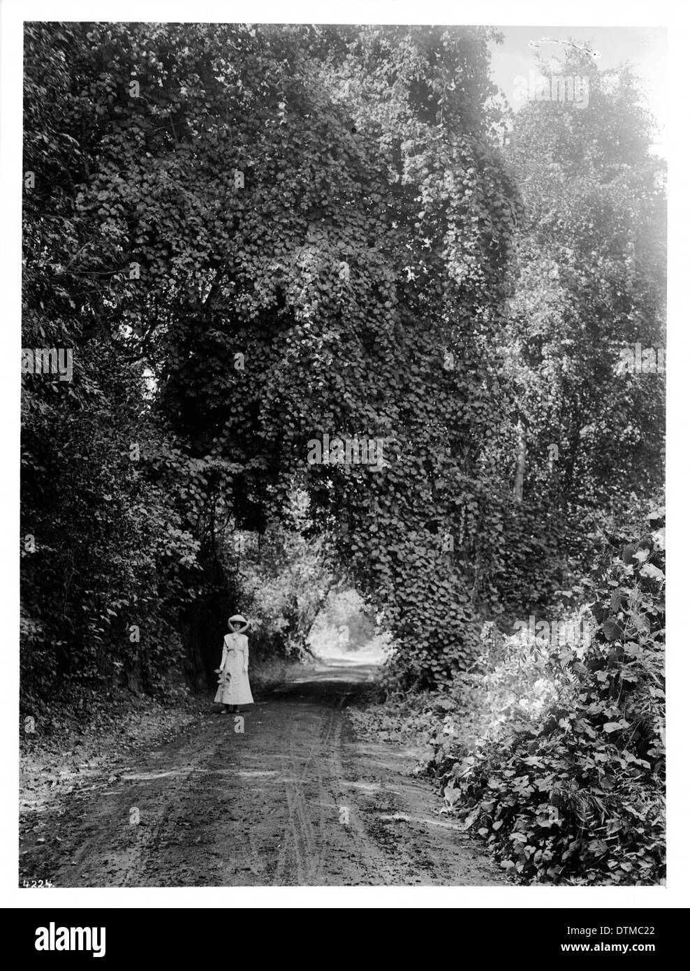 Landscape photograph in portrait Cut Out Stock Images & Pictures - Alamy