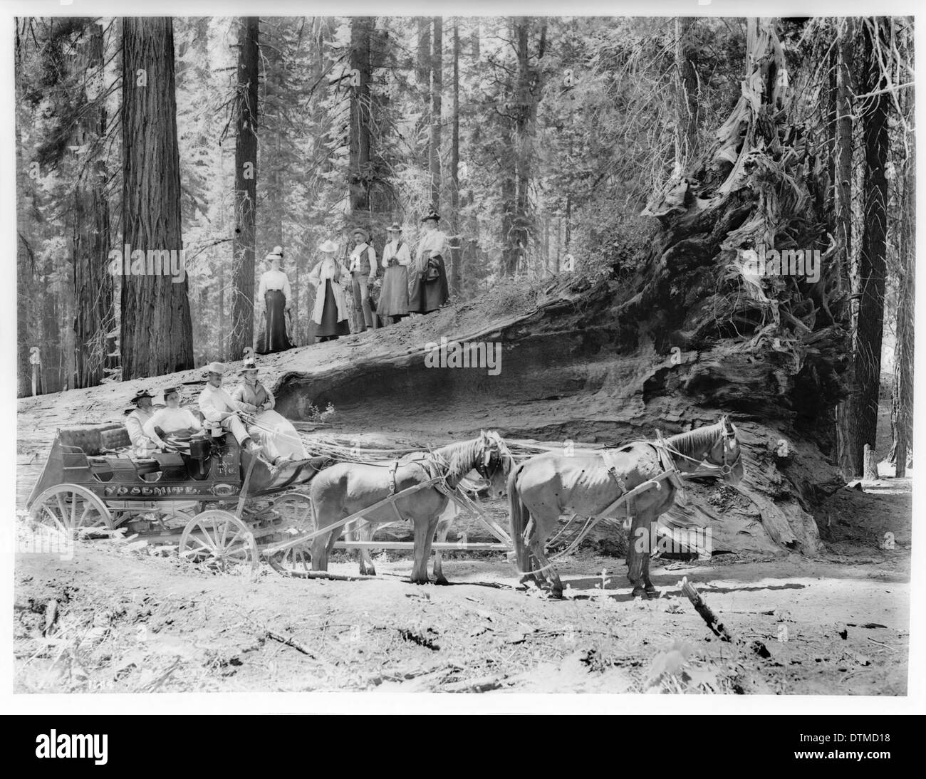 Fallen Monarch High Resolution Stock Photography and Images - Alamy