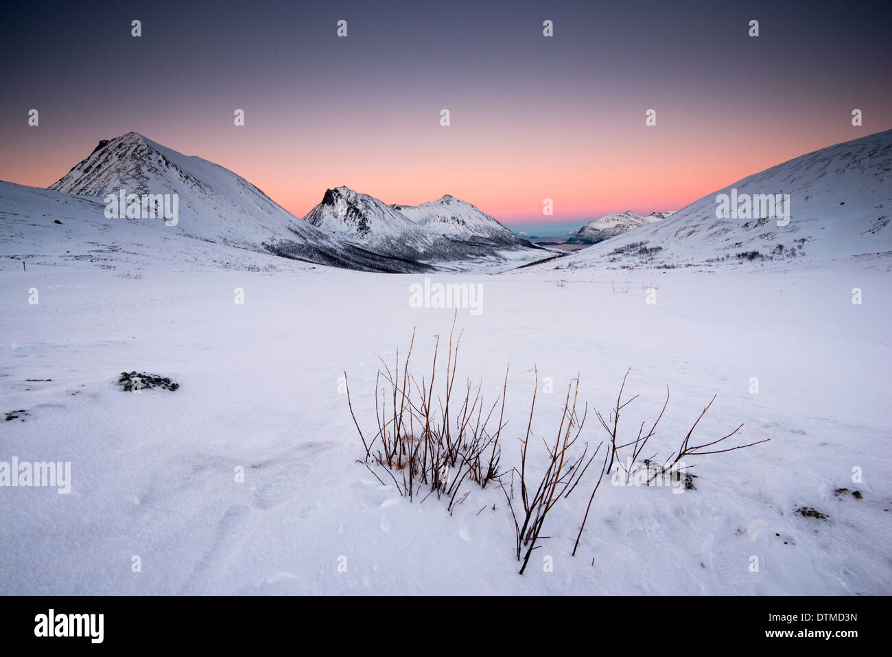 Tromso norway grass hi-res stock photography and images - Alamy