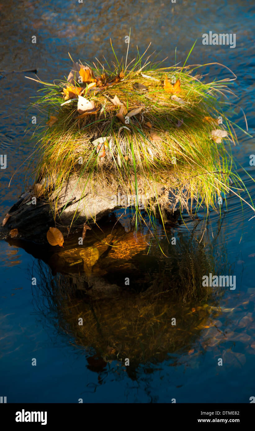 Protruding into the river hi-res stock photography and images - Alamy