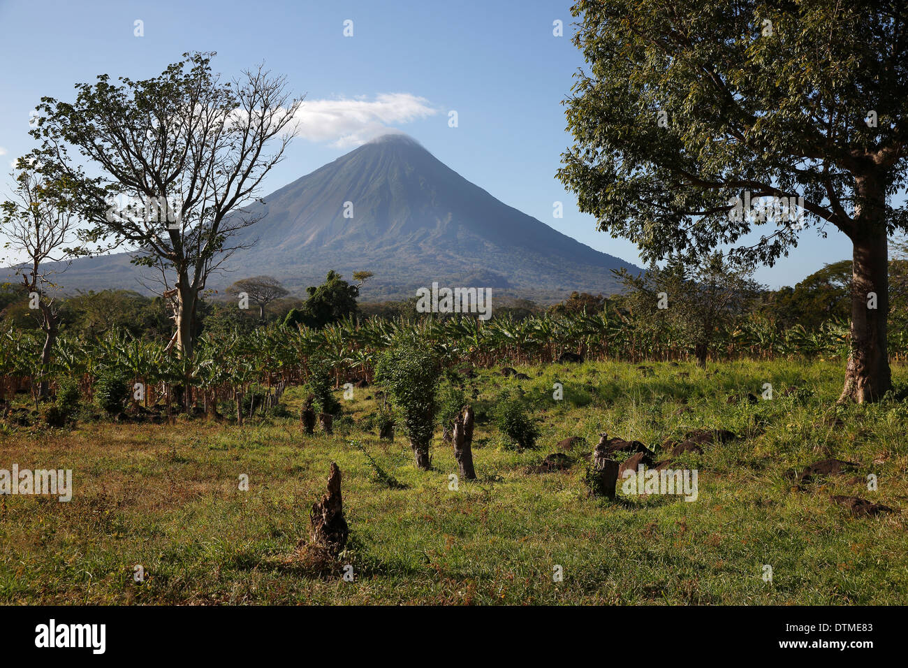 Concepcion Volcano, Ometepe Island, Nicaragua Stock Photo - Alamy