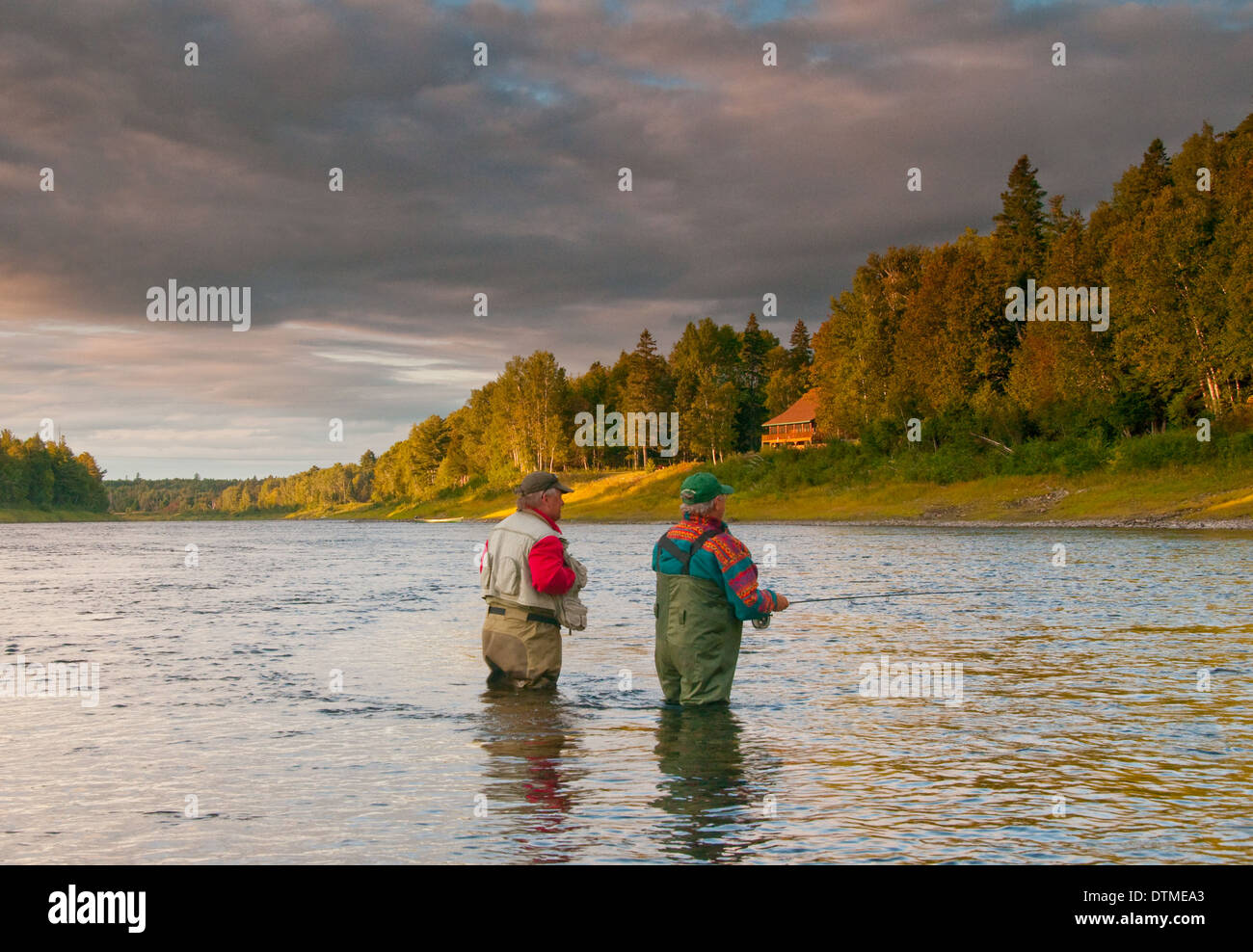 Miramichi river salmon hi-res stock photography and images - Alamy