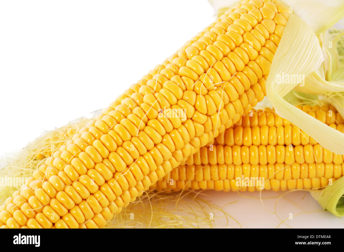 Corn cobs isolated on white background Stock Photo - Alamy