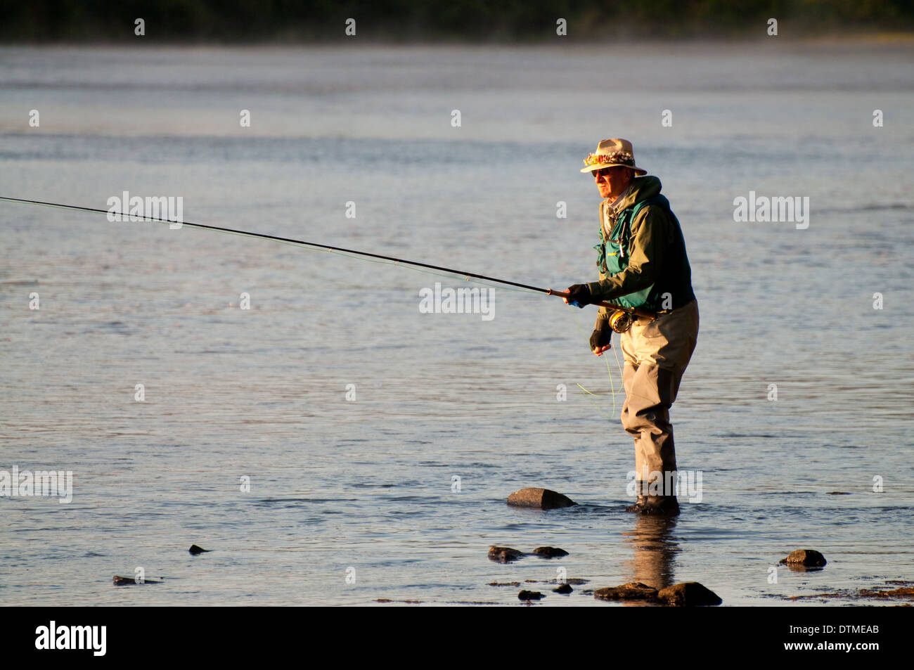 Miramichi river salmon hi-res stock photography and images - Alamy