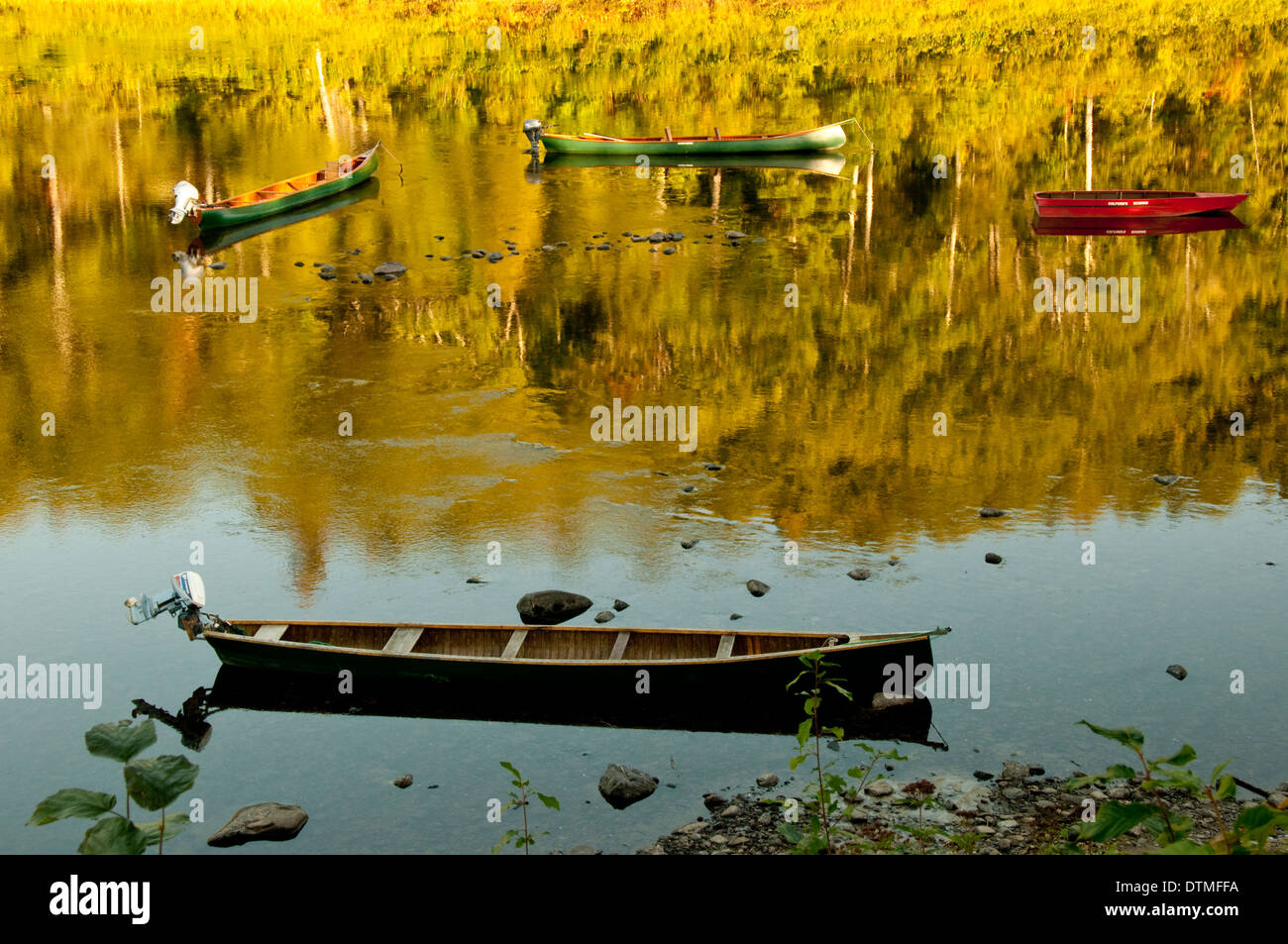 Fishing guide canoes on the Miramichi River well known for Atlantic ...