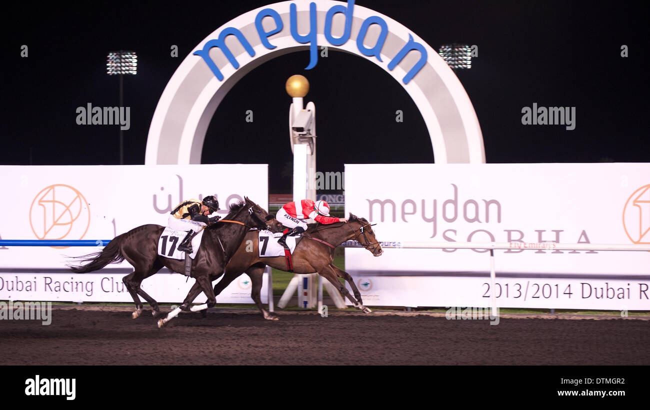 Meydan Racecourse, Dubai, UAE. 20th Feb 2014. Fergal Lynch riding ...