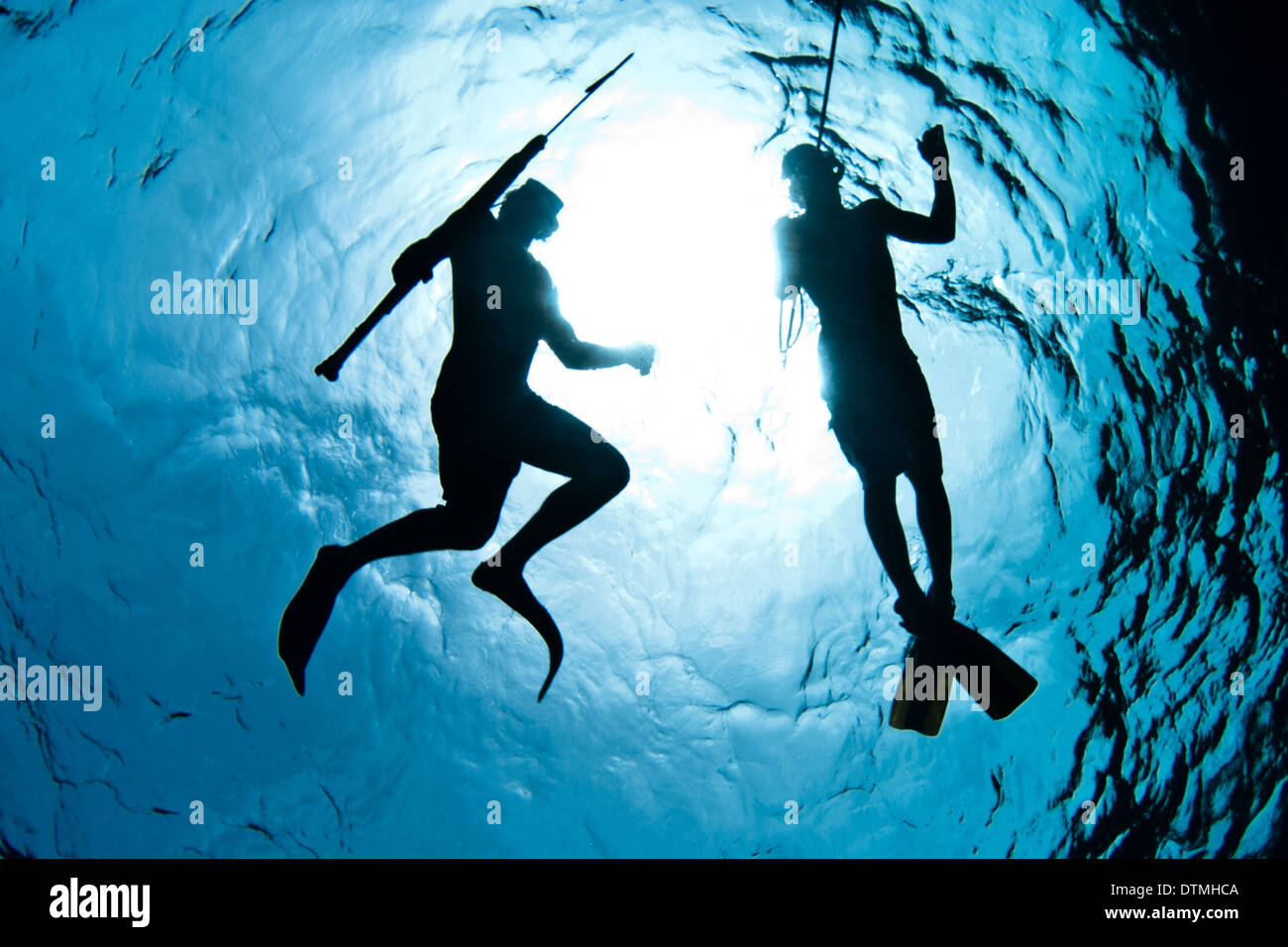 Spearfishing hawaii hi-res stock photography and images - Alamy