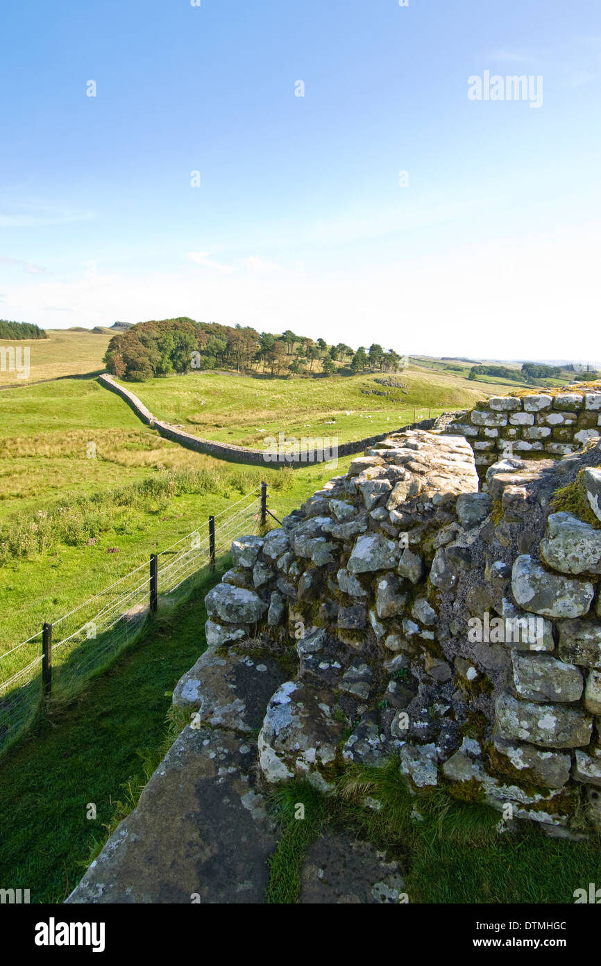Hadrian's Wall at Houstead's Fort Stock Photo - Alamy